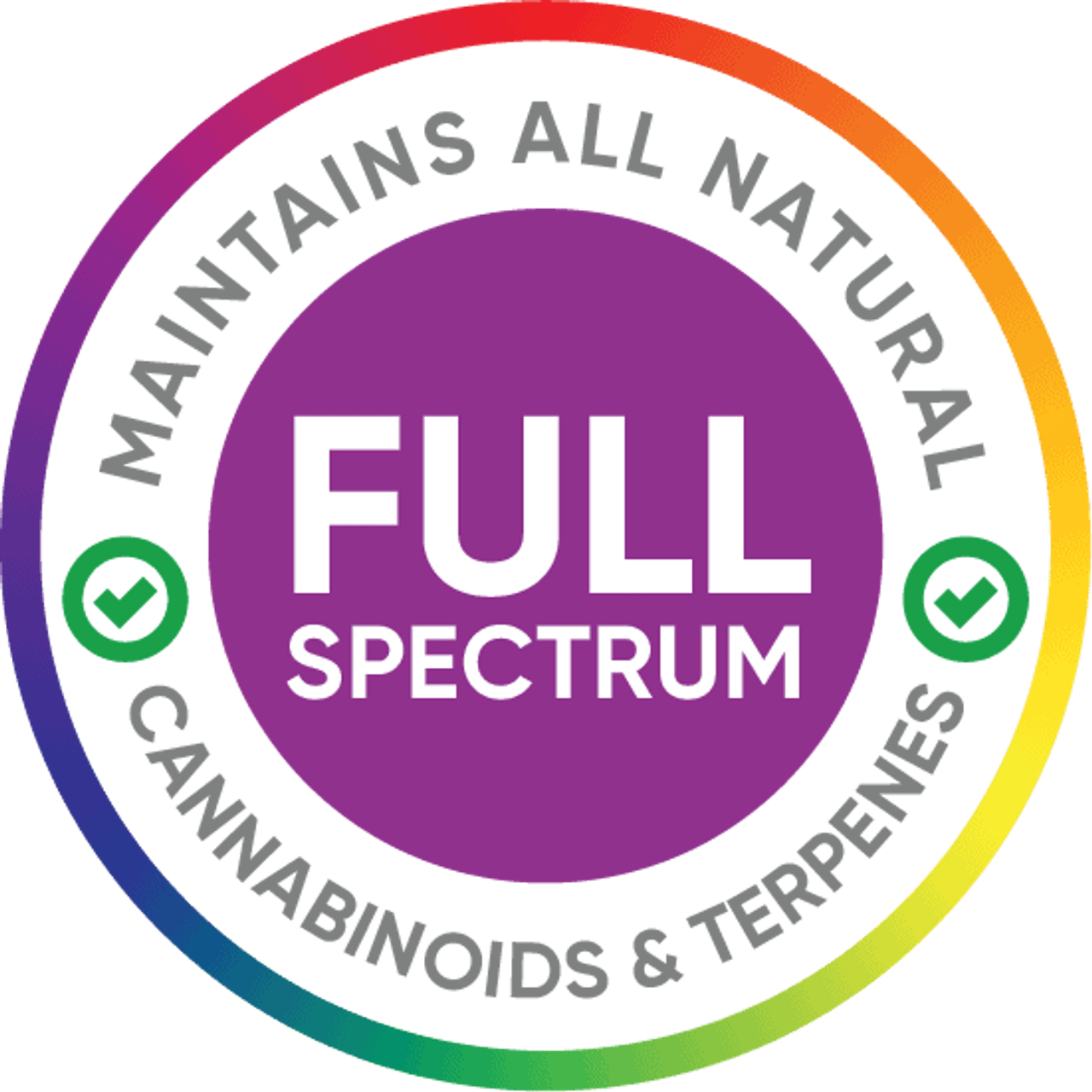 Shop 1000mg CBD Pain Relief Cream – MONTKUSH